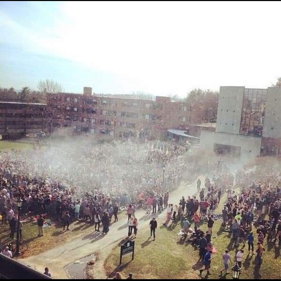 Home - True 802 Cannabis